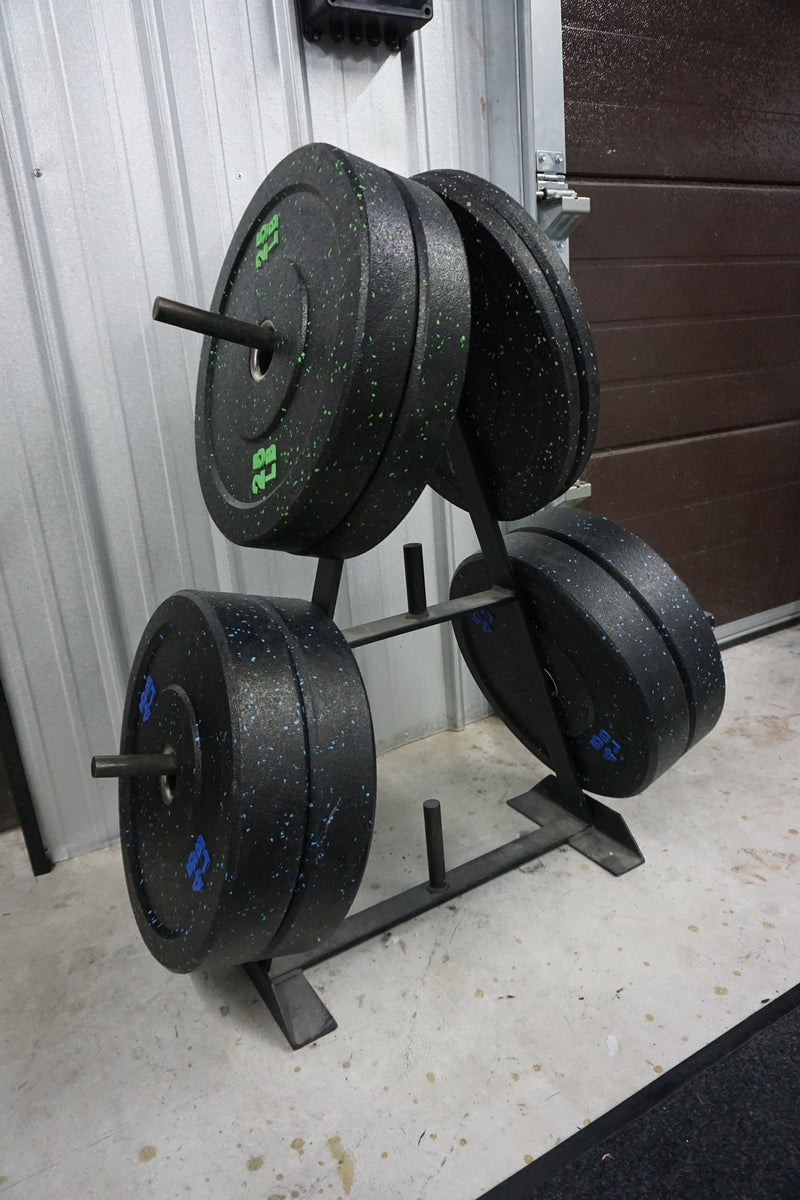 25 lb Bumper Plates (pair) – TSS